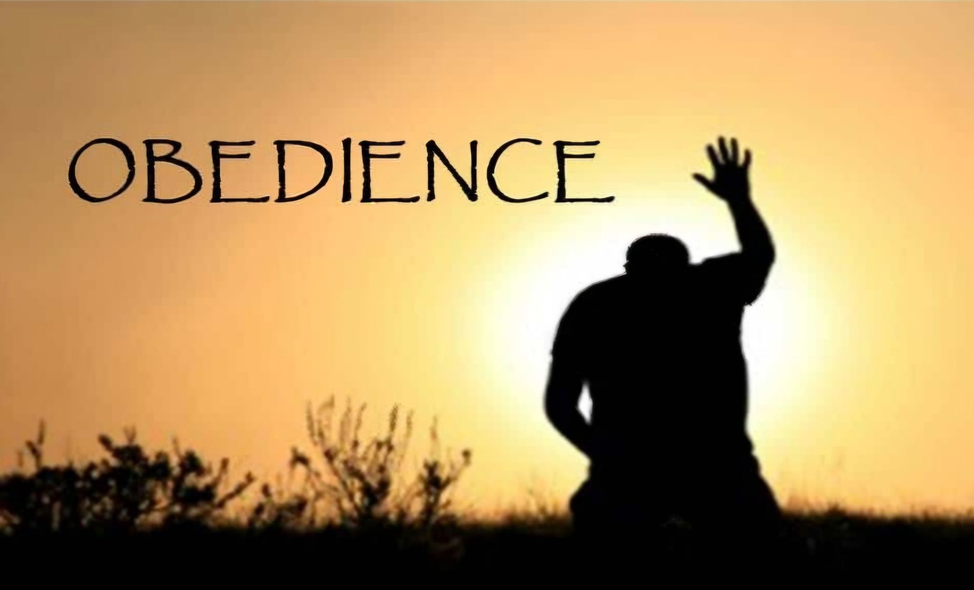 Obedience – Ronnie's Thoughts